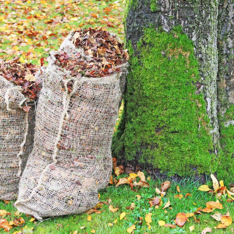 Tips For Keeping Your Yard Clean | College HUNKS Hauling Junk Blog