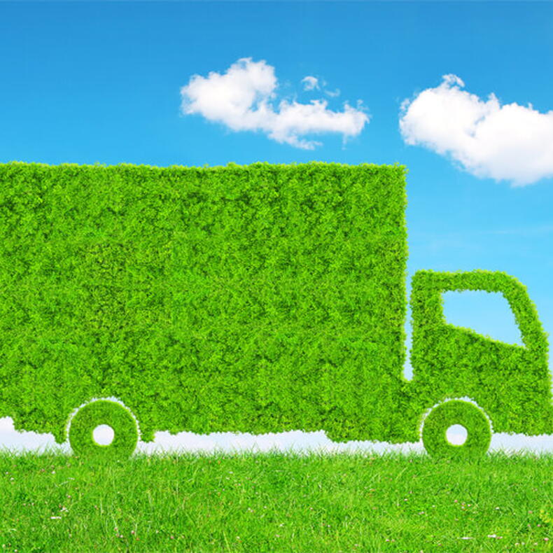 Earth-Friendly Moving: Eco-Conscious Practices for a Sustainable Move
