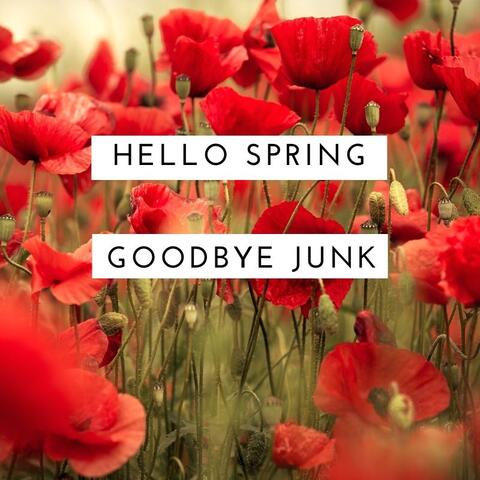Best Spring Cleaning & Junk Removal Tips | College HUNKS Hauling Junk Blog